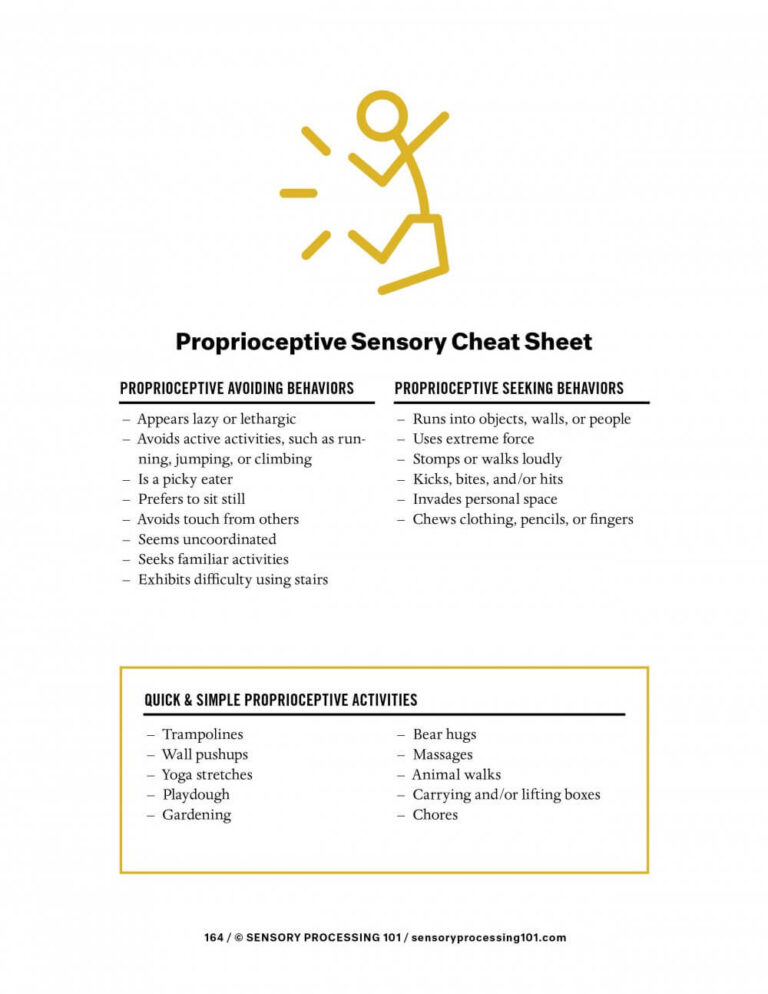 《Sensory Processing 101》 – Spectrum Fun